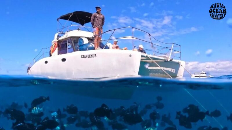 Boat Tours in Honolulu: A Complete Guide to Exploring Paradise by Sea ...